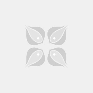 Wildlife | Seeds | Deer Creek Seed