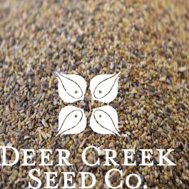 Perennial Plus Clover Food Plot Mix | Seeds | Deer Creek Seed